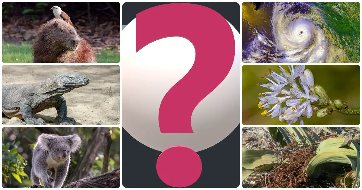Quiz Category Latest Nature Trivia 10 Wonderful Questions quiz-category-latest-nature-trivia-10-wonderful-questions