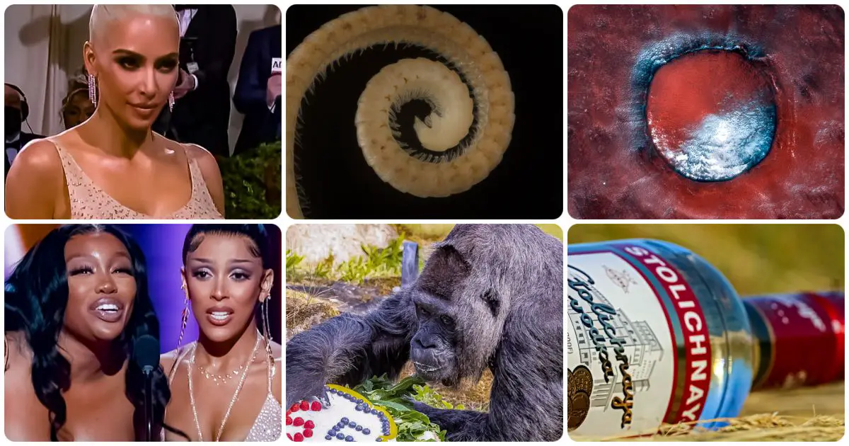 Strange Facts Quiz 22 Weird Fun Trivia Questions From 2022 strange-facts-quiz-22-weird-fun-trivia-questions-from-2022